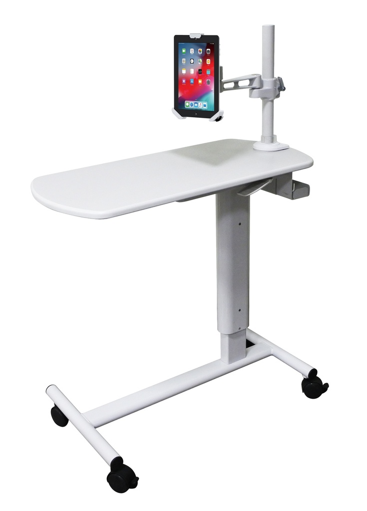 Optimize your healthcare facility with the Mobile Patient iPad Cart ...
